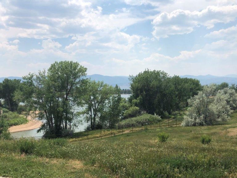 Writer's Vista Park in Littleton Colorado | Slides and Sunshine