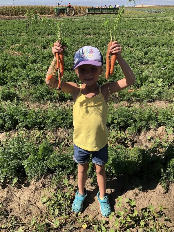 Fall Fun in CO: Pumpkin Patches & Corn Mazes | Slides and Sunshine