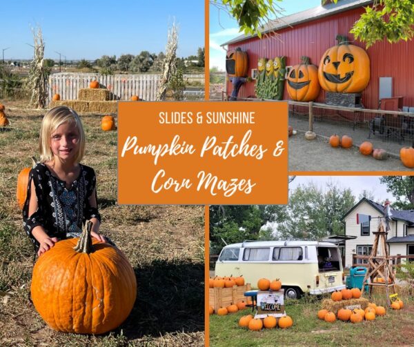 Fall Fun in CO: Pumpkin Patches & Corn Mazes | Slides and Sunshine
