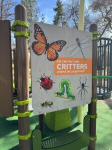 Longmont's New Playground Brings Nature to Life! | Slides and Sunshine